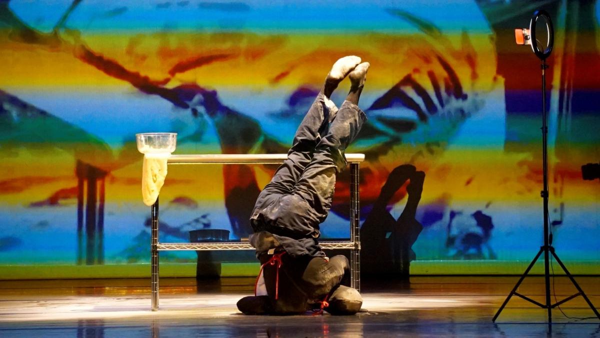 Danza, artes visuales, cine y música, conforman agenda del fin de ...